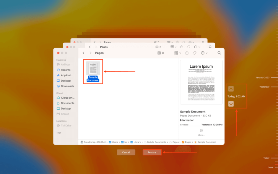 How to Recover Deleted/Unsaved Pages Document on a Mac